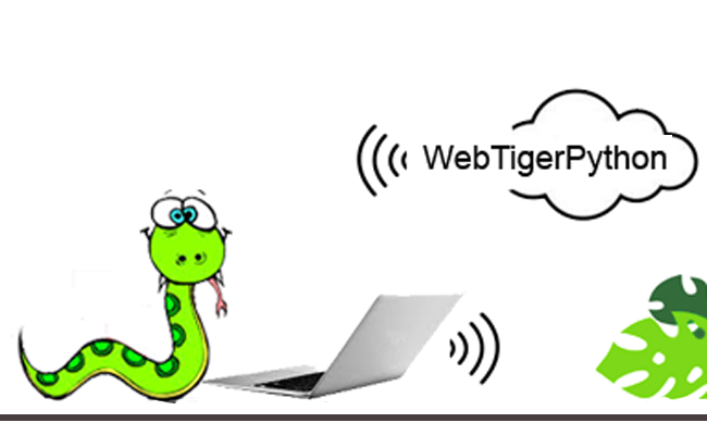Python-Online: Programmieren mit WebTigerPython | TigerJython